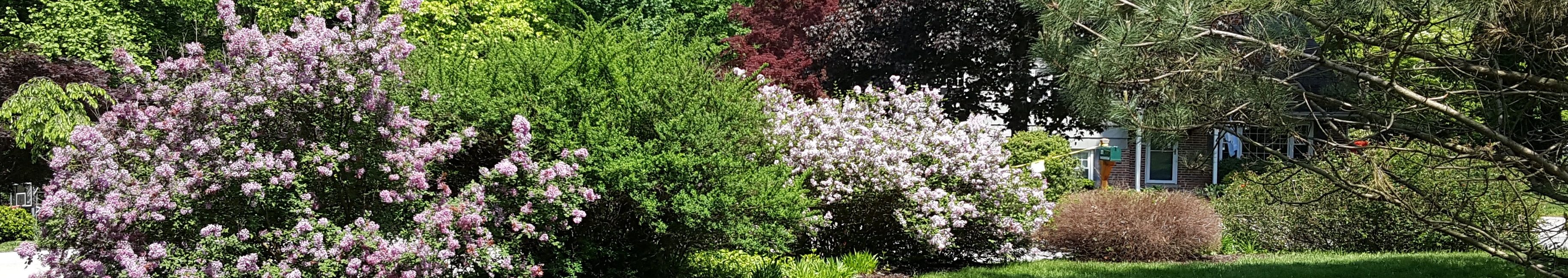 Deer resistant landscape designs