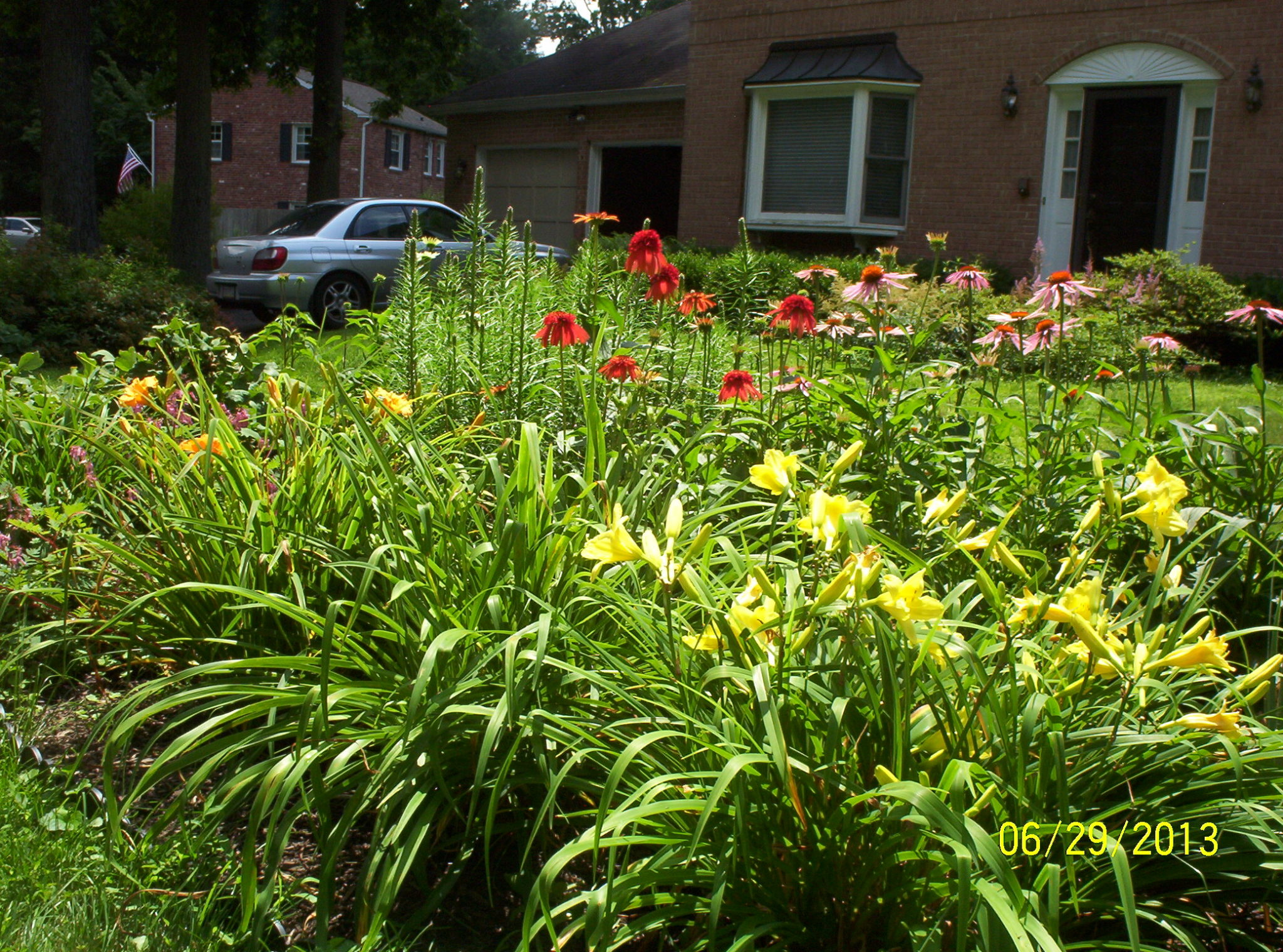 List of recommended deer resistant perennials for Northeast