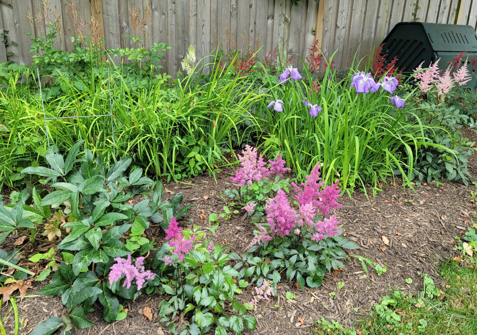Deer resistant landscaping designs for the Northeast